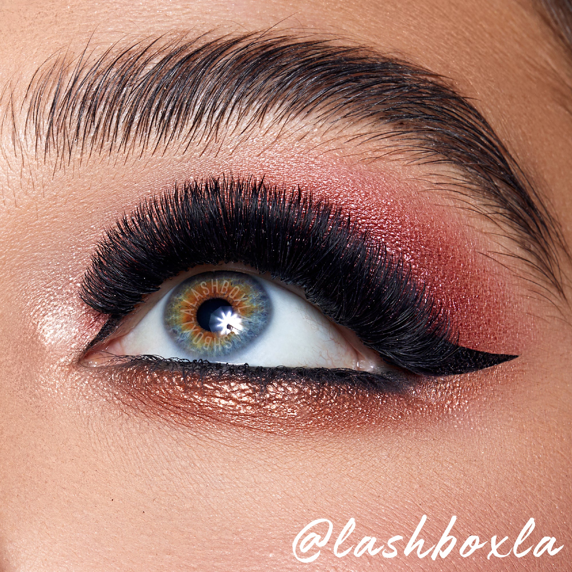 Eyelixir Eyeshadow Color Set of 4 - LBLA Cosmetics & Co